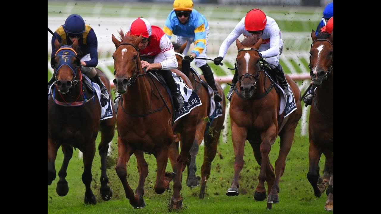 Horse Racing Roscommon 17:00 No Speak Alexander wins - YouTube