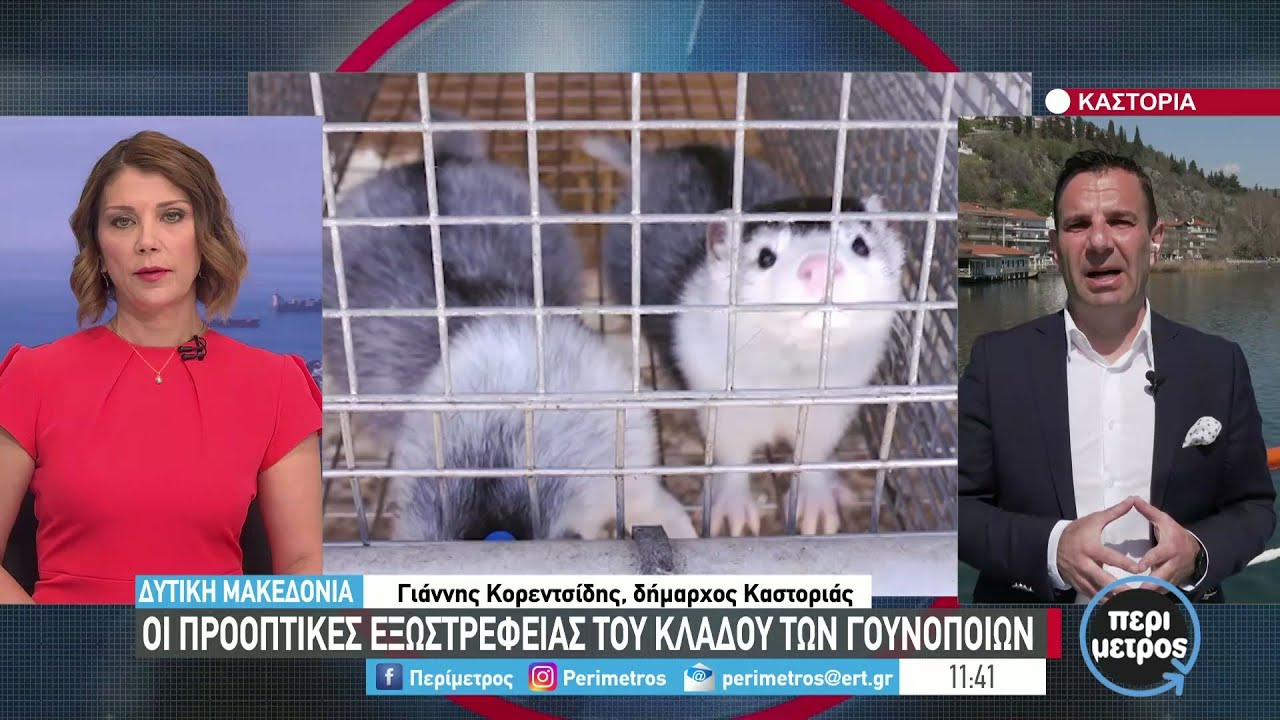 Προβληματισμένοι οι γουνοποιοί στην Καστοριά | 14/04/2022 | ΕΡΤ - YouTube