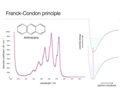 Absorption concept - YouTube