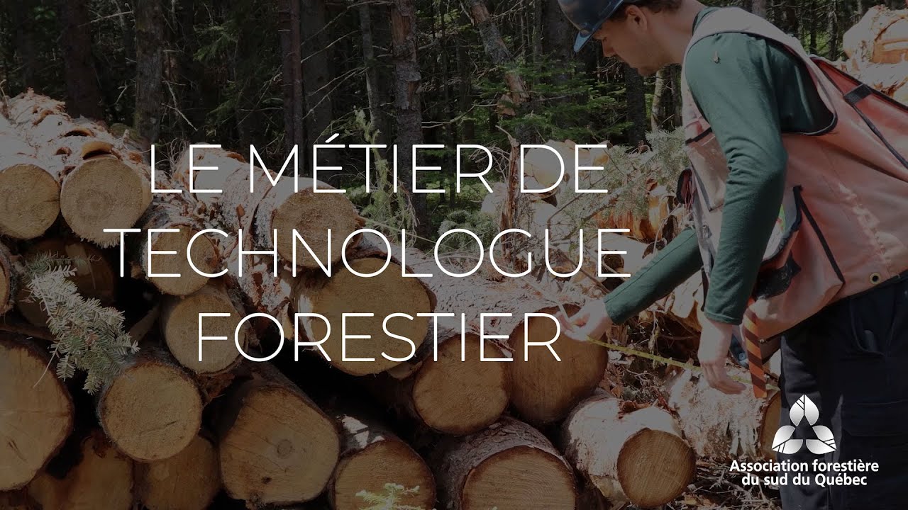 Fiche Métier Technicien Forestier – LTAX