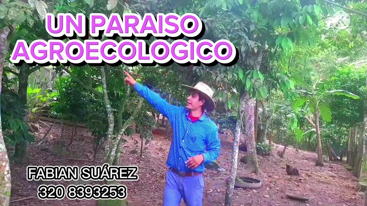 7 FANEGADAS EN CHAGUANI CUNDINAMARCA - YouTube