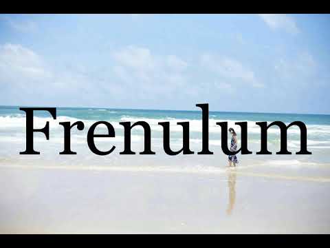 How To Pronounce Frenulum🌈🌈🌈🌈🌈🌈Pronunciation Of Frenulum - YouTube