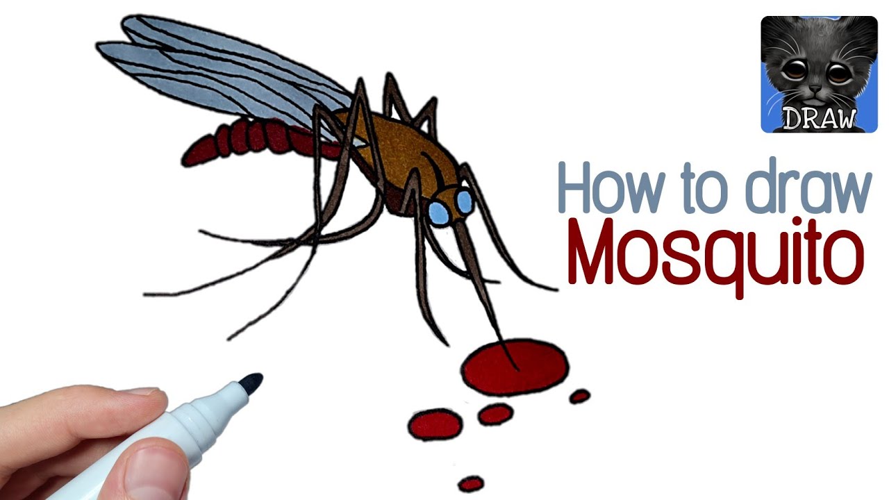 How to Draw a Mosquito easy | Insects Drawing - YouTube
