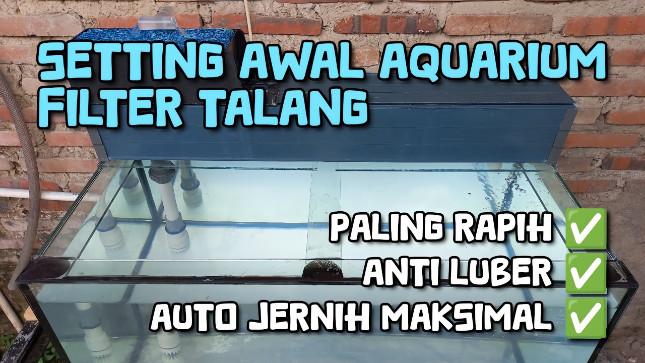 SET-UP Aquarium Filter Talang - Top Filter Terbaik Auto Jernih Maksimal ...