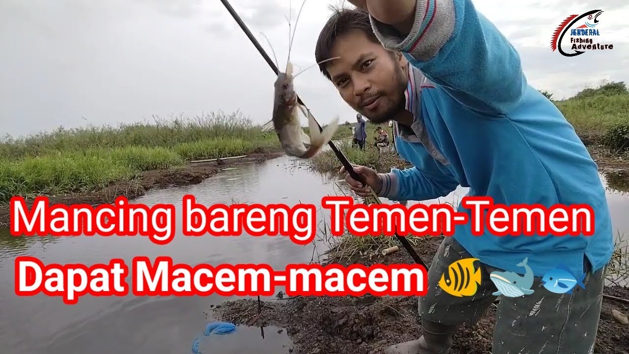 Dapat macem-macem Ikan - YouTube