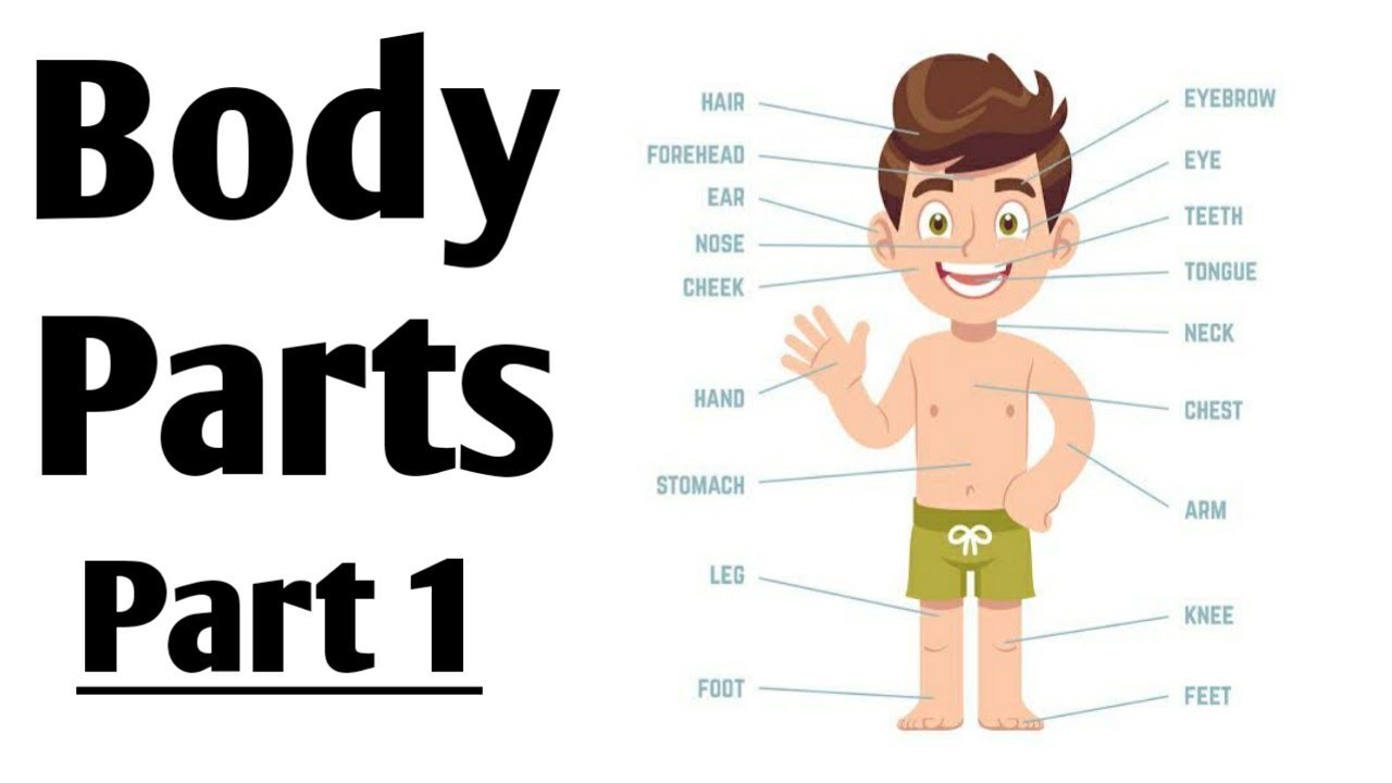 Parts Of My Body-(Class 1) - YouTube
