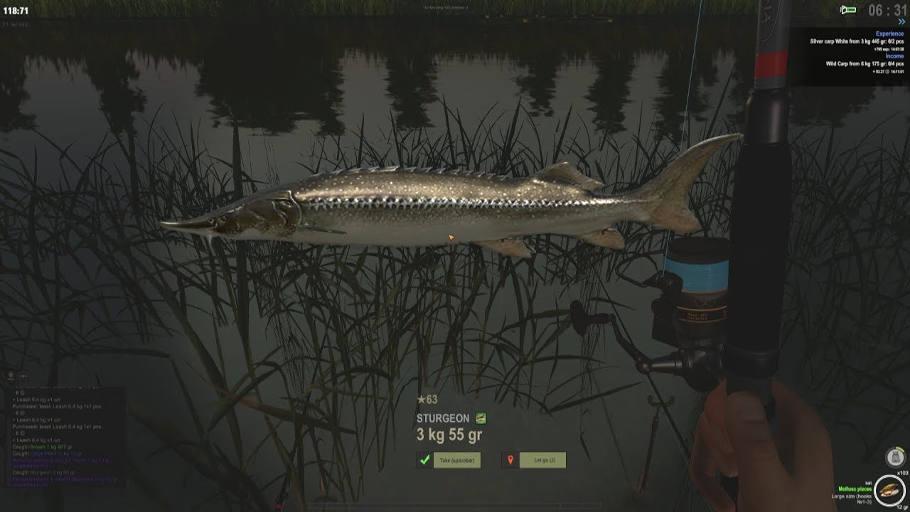 Thefisher Online Sturgeon Spot Ukraine 2019 1440p - YouTube