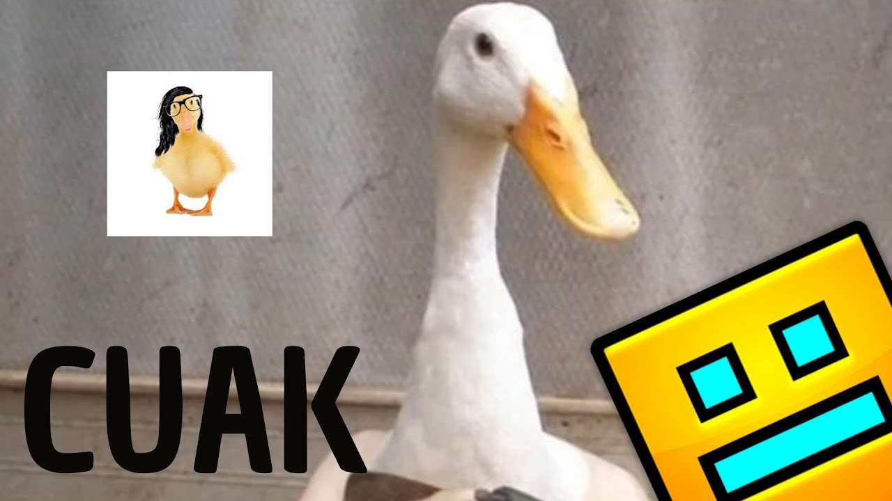 Duckstep 100% / Geometry Dash - YouTube