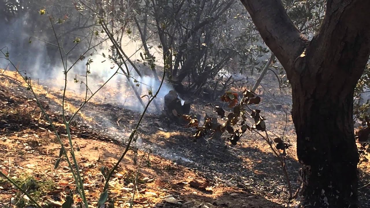 Cocos (San Marcos) Fire, San Marcos, CA. - YouTube