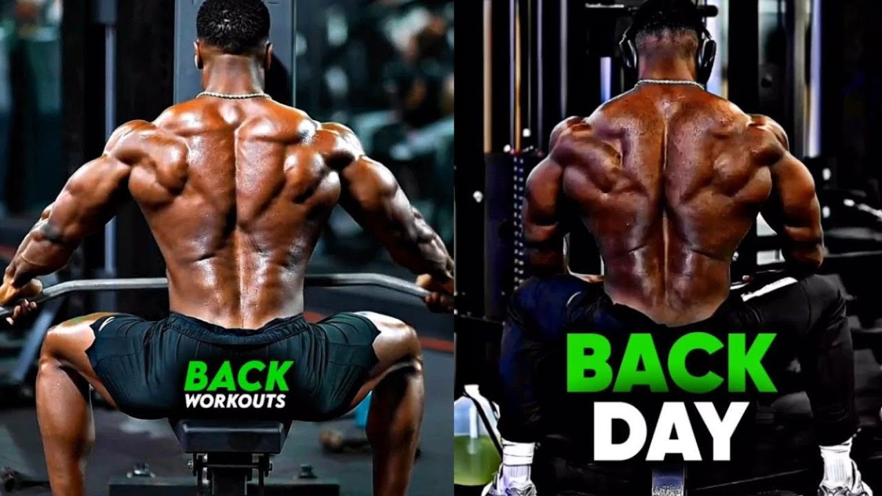 Build Your Back 💪🏾 | 5 Movements To Build A Wider Back - YouTube