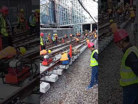 The overall longitudinal movement of railway track crossing lines ...