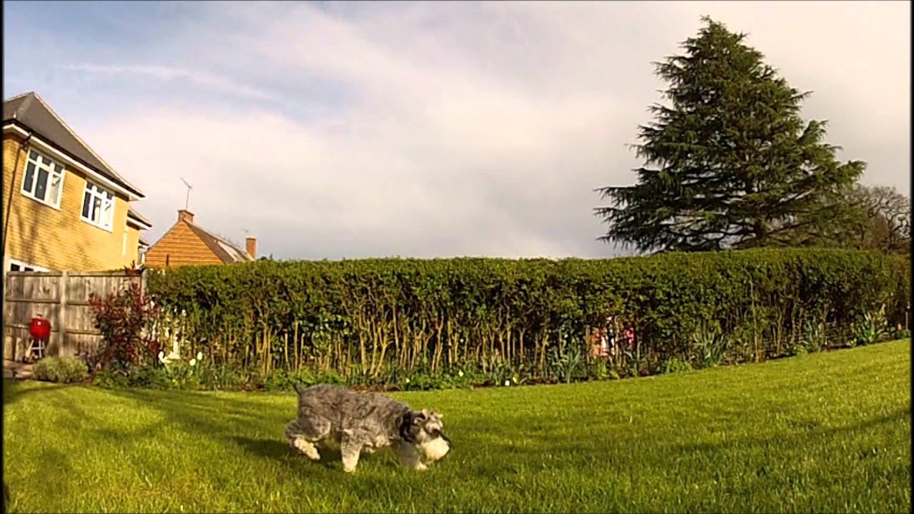 Peppa and the world of slow motion - YouTube