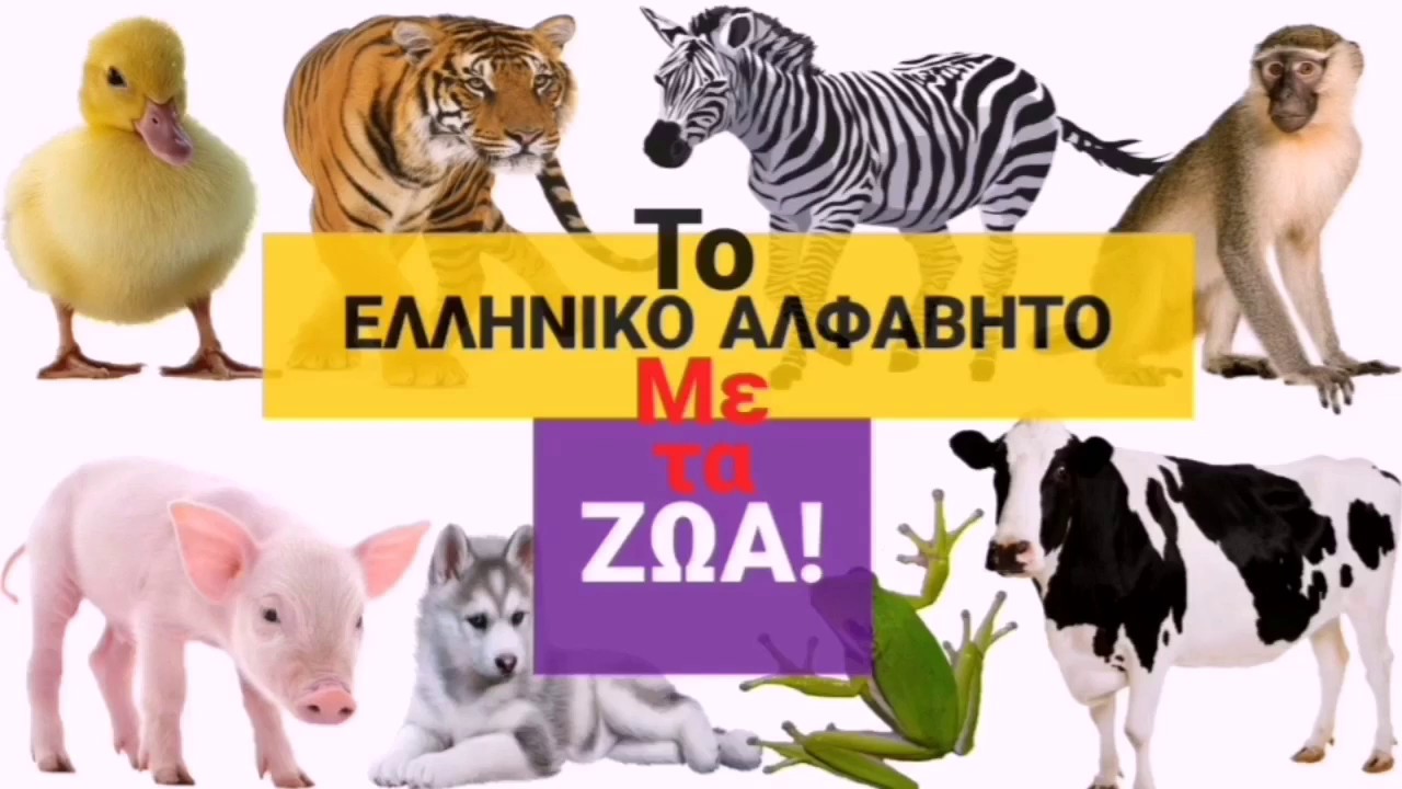Το Ελληνικό αλφάβητο με τα ζώα! Learn the Greek alphabet, learn the ...