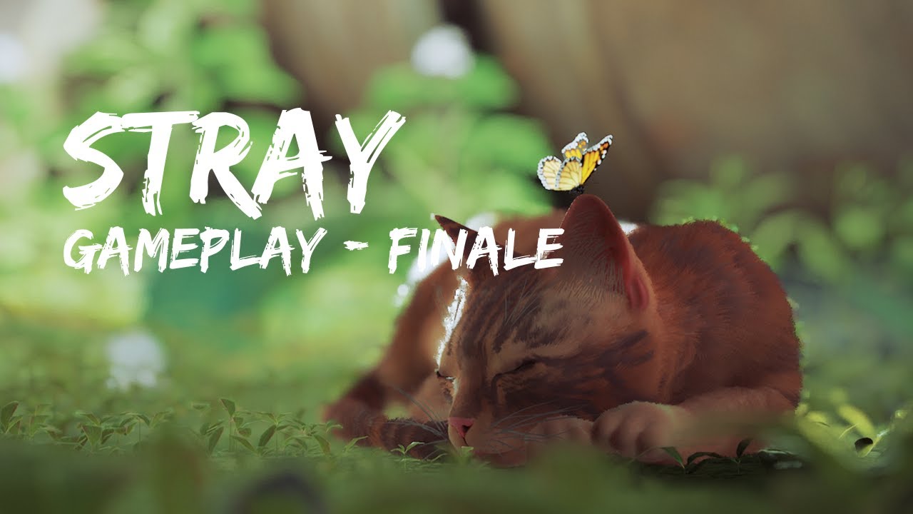 Stray Gameplay - Part 9 | Finale - YouTube