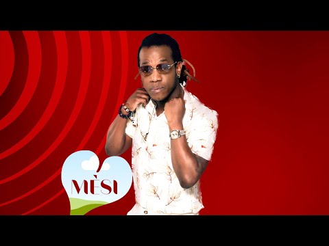 STEEL GROOVE _ MÈSI _ David B