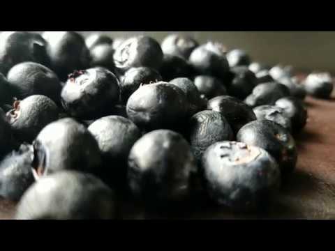 "Blueberries" - Poem - YouTube