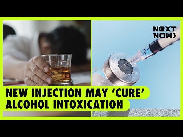 Alcohol Intoxication Short Term Effects Of Alcohol Consumption