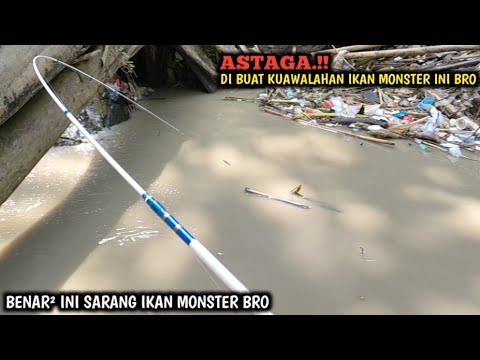 YA AMPUN.!! MANCING SEHABIS HUJAN BESAR DI BAWAH POHON TUMBANG || STRIKE IKAN BESAR SAMPAI ...