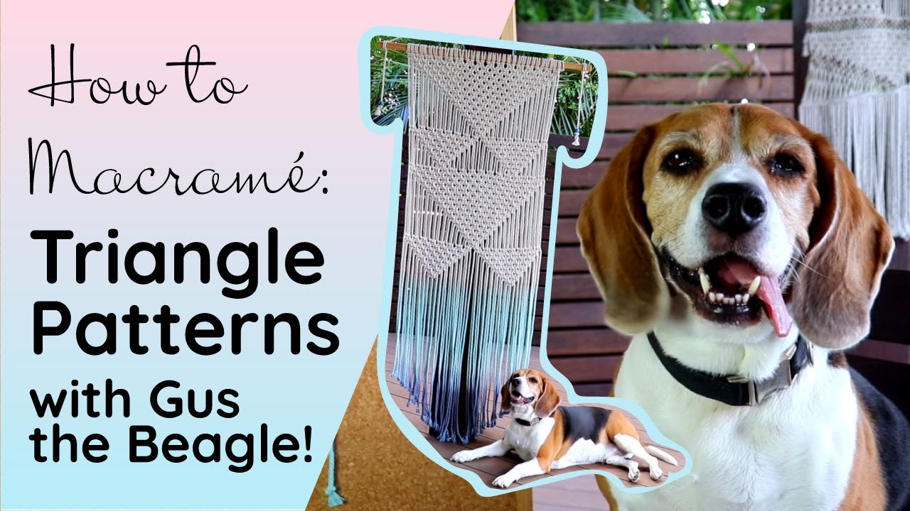 How to Macrame Triangle Patterns with Special Guest Gus the BEAGLE ...