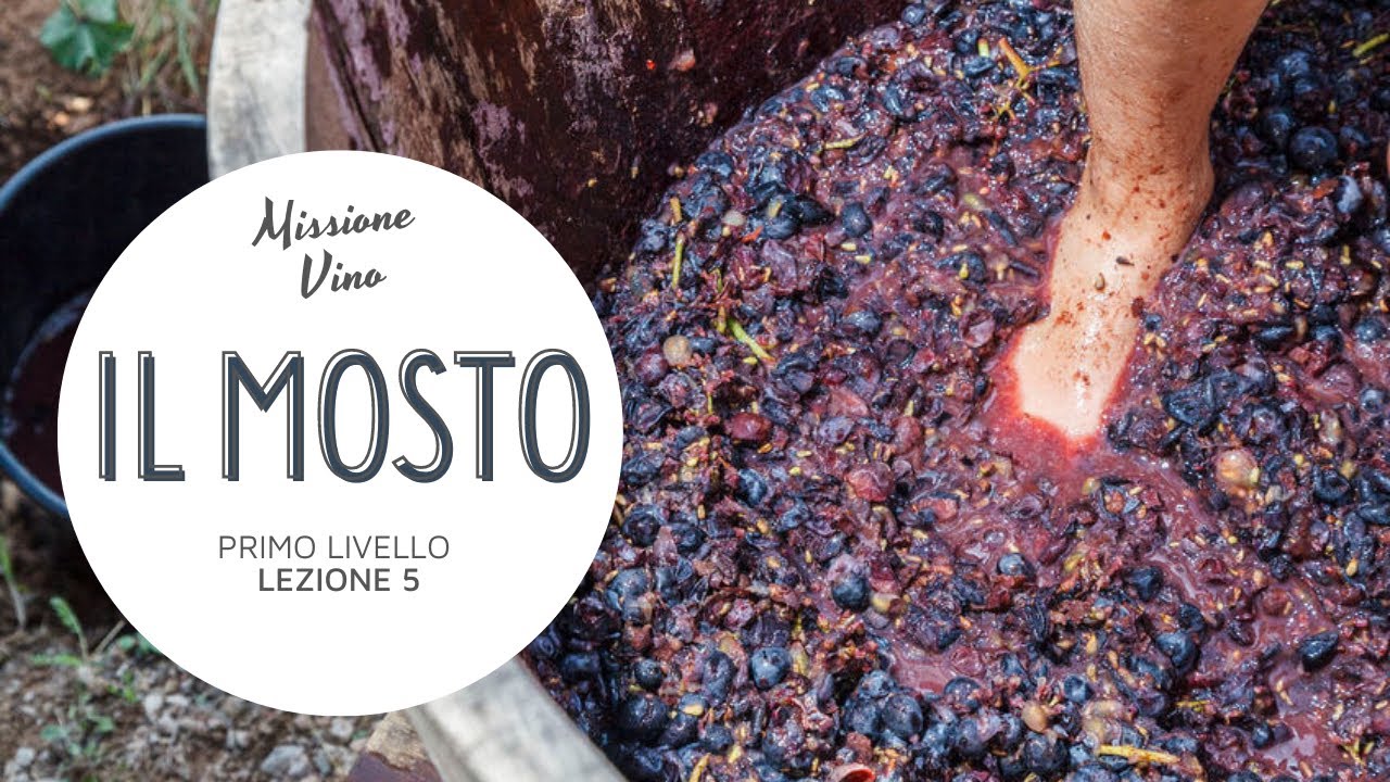 Lezione 5: Alla scoperta del mosto - YouTube