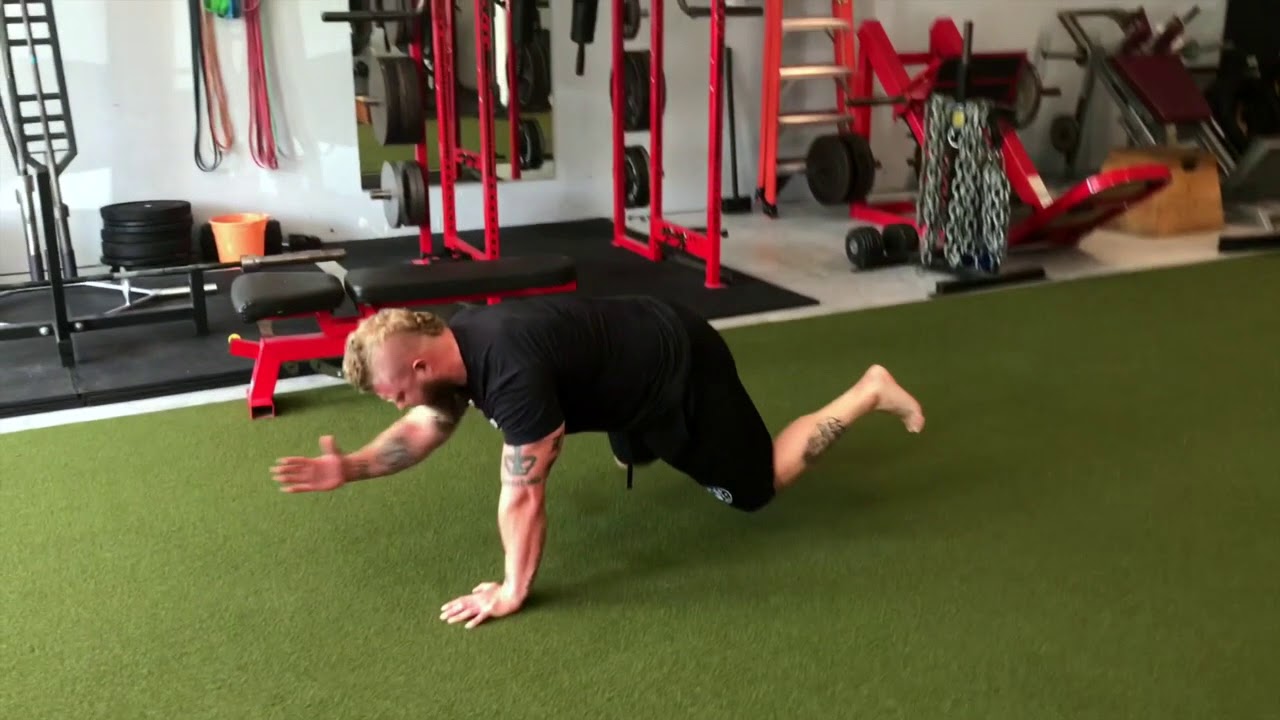 Table-top Bird Dog - YouTube