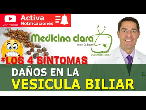 👨‍⚕️👀 LOS 4 SINTOMAS ALARMA *VESÍCULA BILIAR DAÑADA* PIEDRAS | Medicina Clara