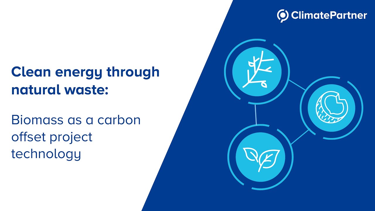 Clean energy through natural waste: How biomass can be used for climate ...