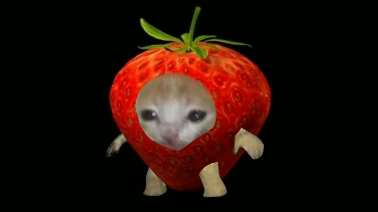 Шарлот- Мяу мяу мяу (speed up) - YouTube