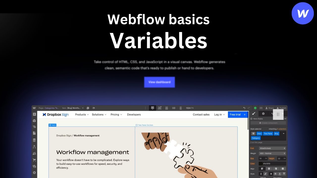 Webflow Basics : Variables - YouTube