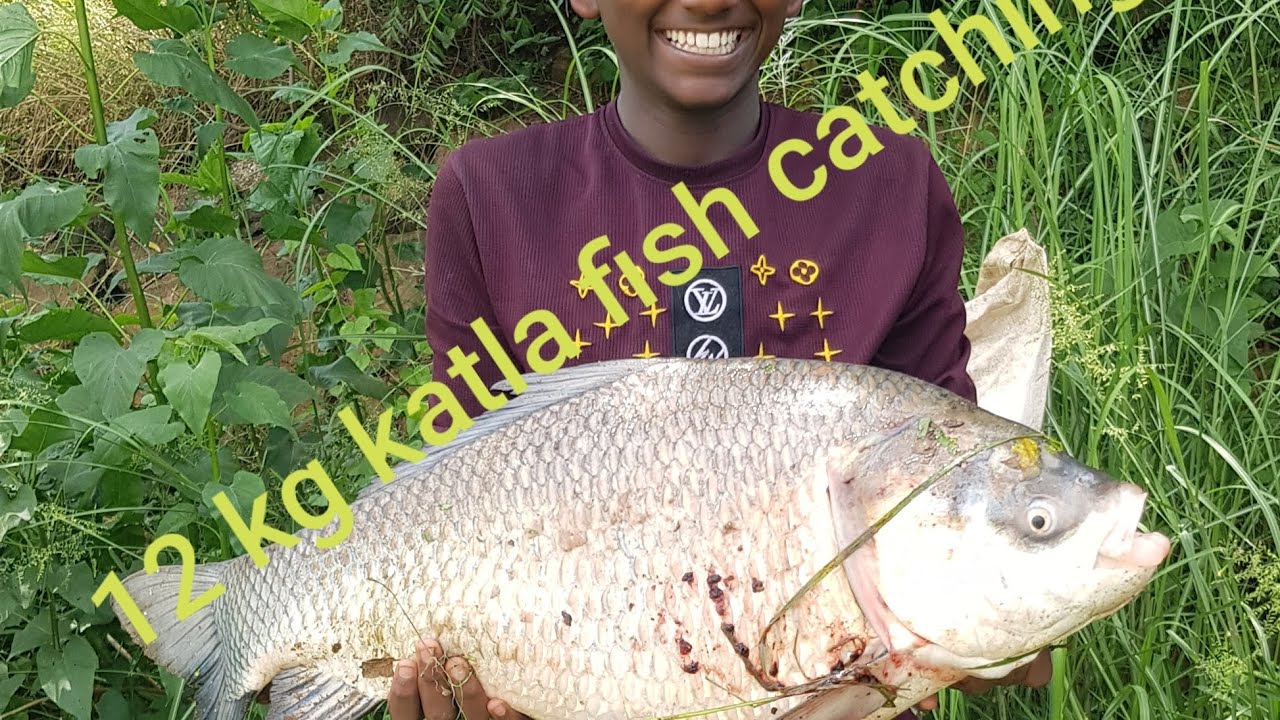 12 Kg katla fish catched by spider set | river fishing #fish #fishing # ...