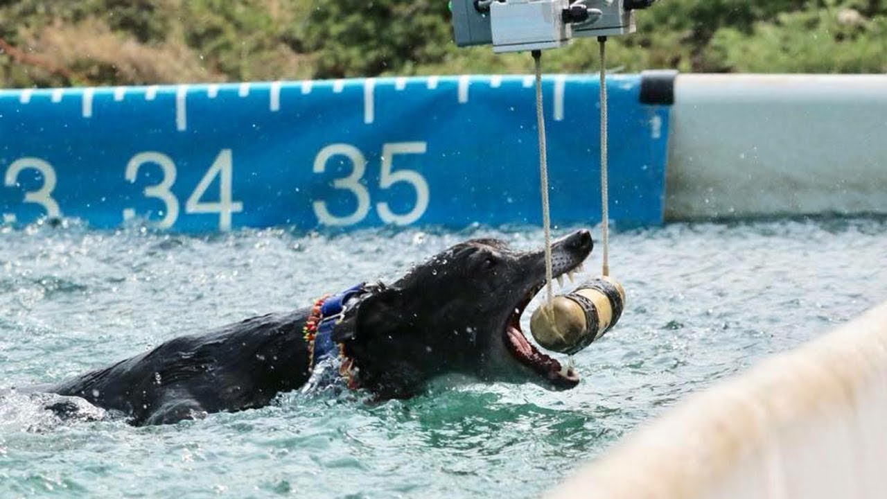 Spitfire Records the First Ever Sub 4 Second Speed Retrieve Time in ...