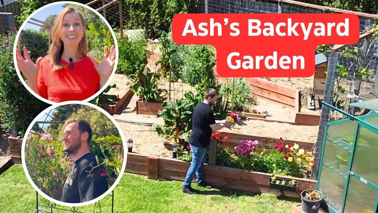The insta-famous "ASH'S BACKYARD GARDEN" Full tour - Geelong vegetable ...