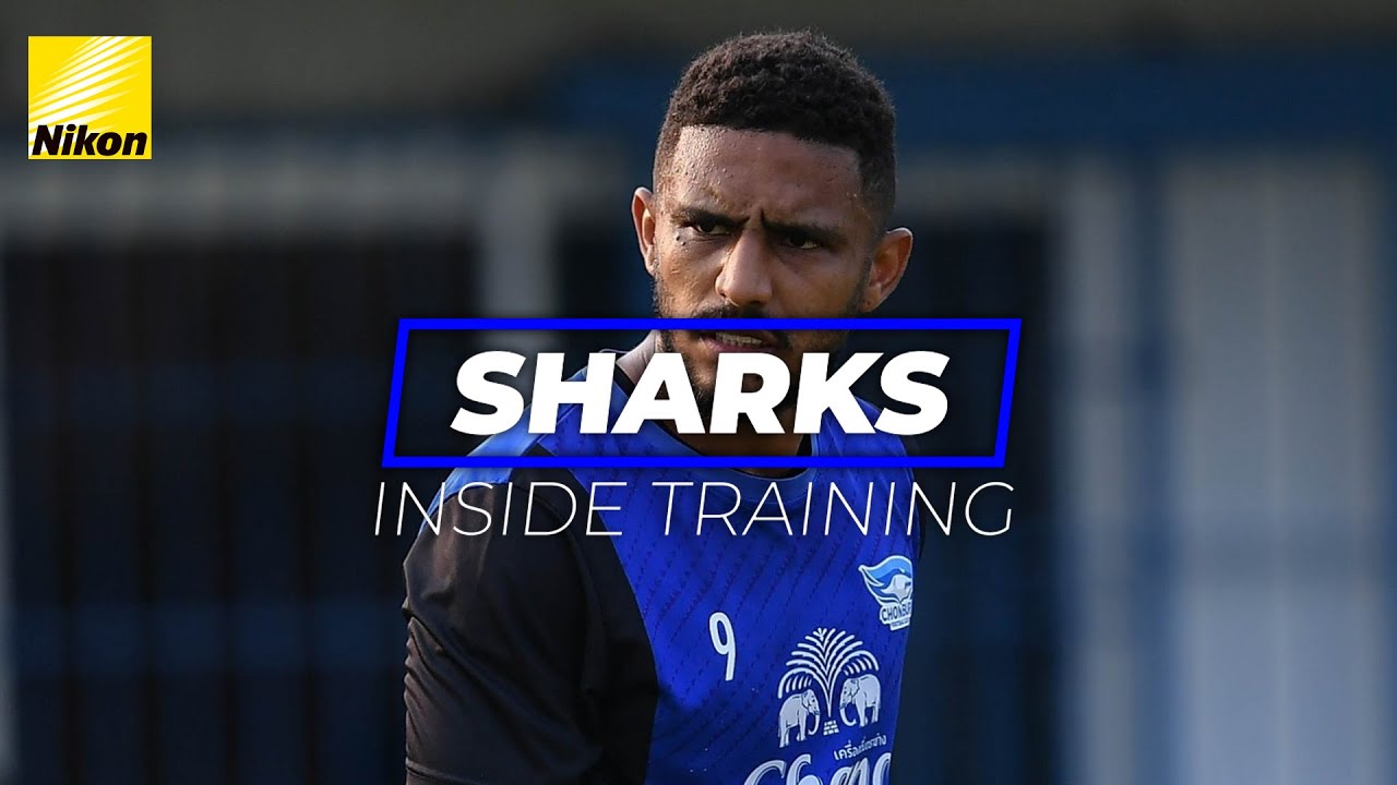 🦈 SHARKS Inside Training : Training with HUGE SAVES! - YouTube
