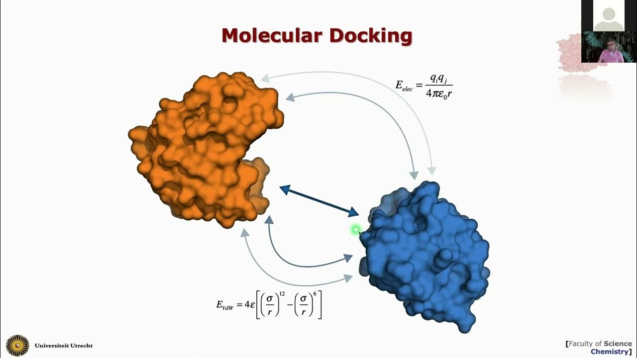 Basics Of Docking And Introduction To Haddock Youtube