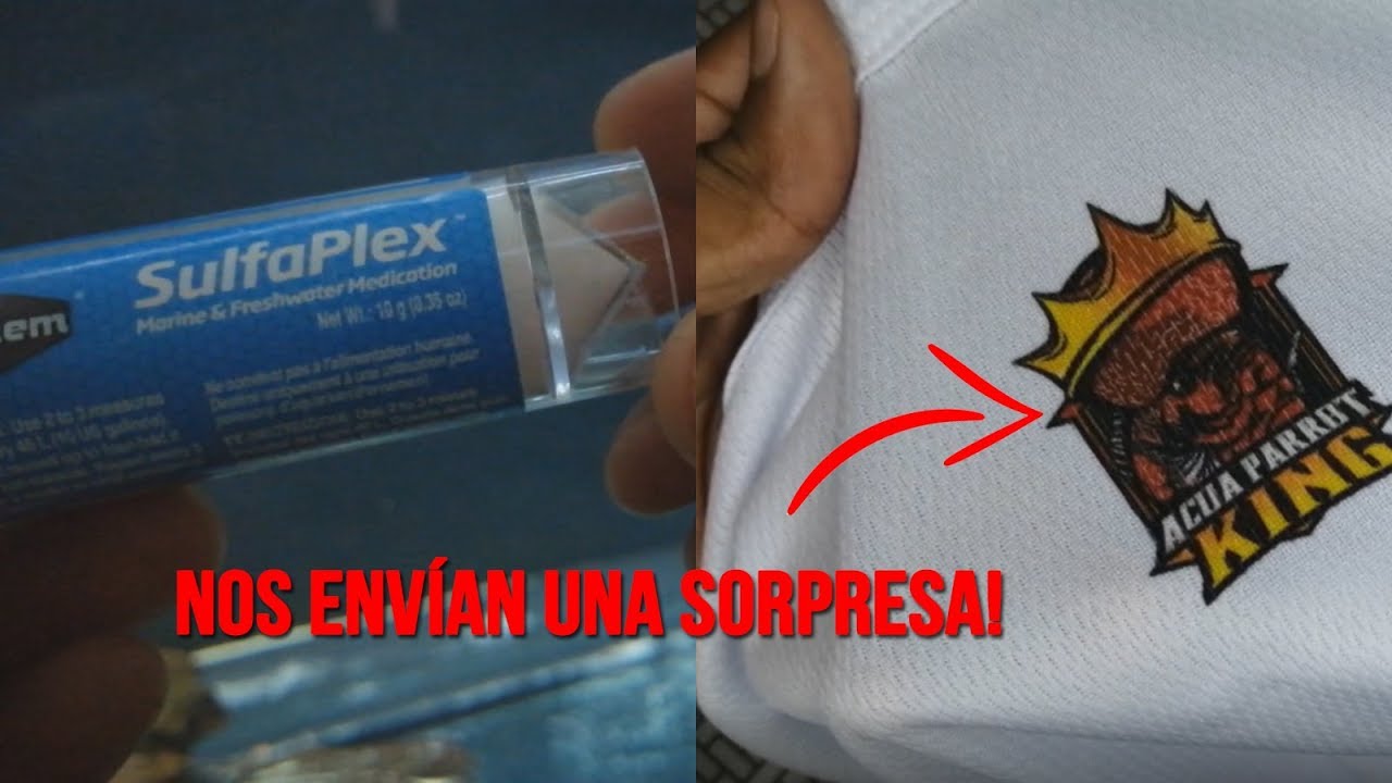 Comenzamos el tratamiento en el acuario con SULFAPLEX - YouTube