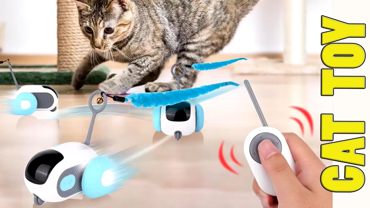 Smart interactive Cat Toy Car for Kitten PET Automatic Moving Remote ...