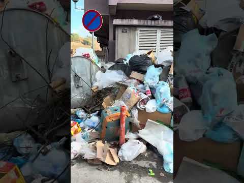 Sırbistan’da hayat nasıl? Sırbistan oturumu kolay mı? Vizesiz ülkede yaşam nasıl? 