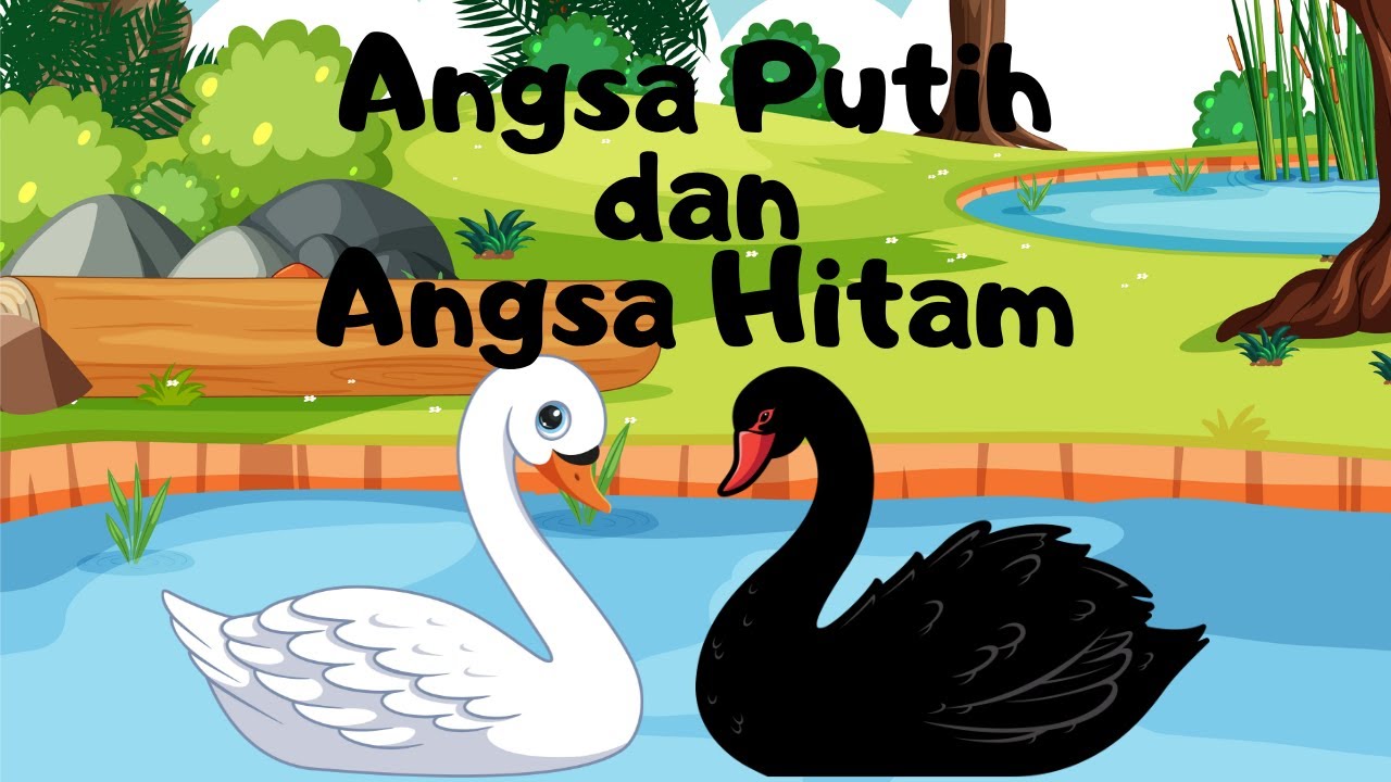 Angsa Putih Dan Angsa Hitam | TERBARU Cerita Anak Bahasa Indonesia | Bedtime Story | Dongeng ...