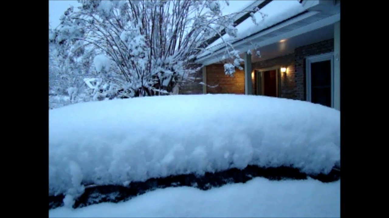 FREAK SNOWSTORM....12-25-10! - YouTube