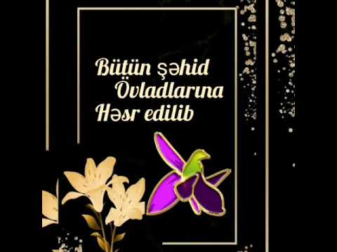 5b sinif şagirdi Y.Rəsul. ,,Başını dik saxla Şəhid balası\