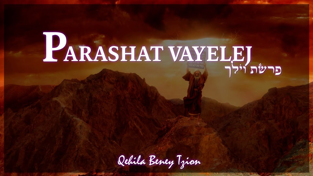 Parashat Vayelej#49 פָּרָשַׁת וַיֵּלֶךְ - YouTube