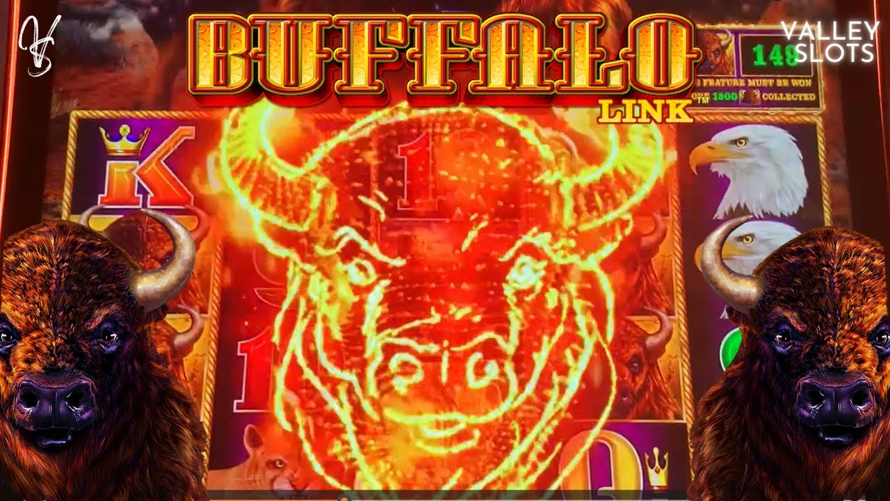 Free Features Galore on Buffalo Link Slot Machine - YouTube