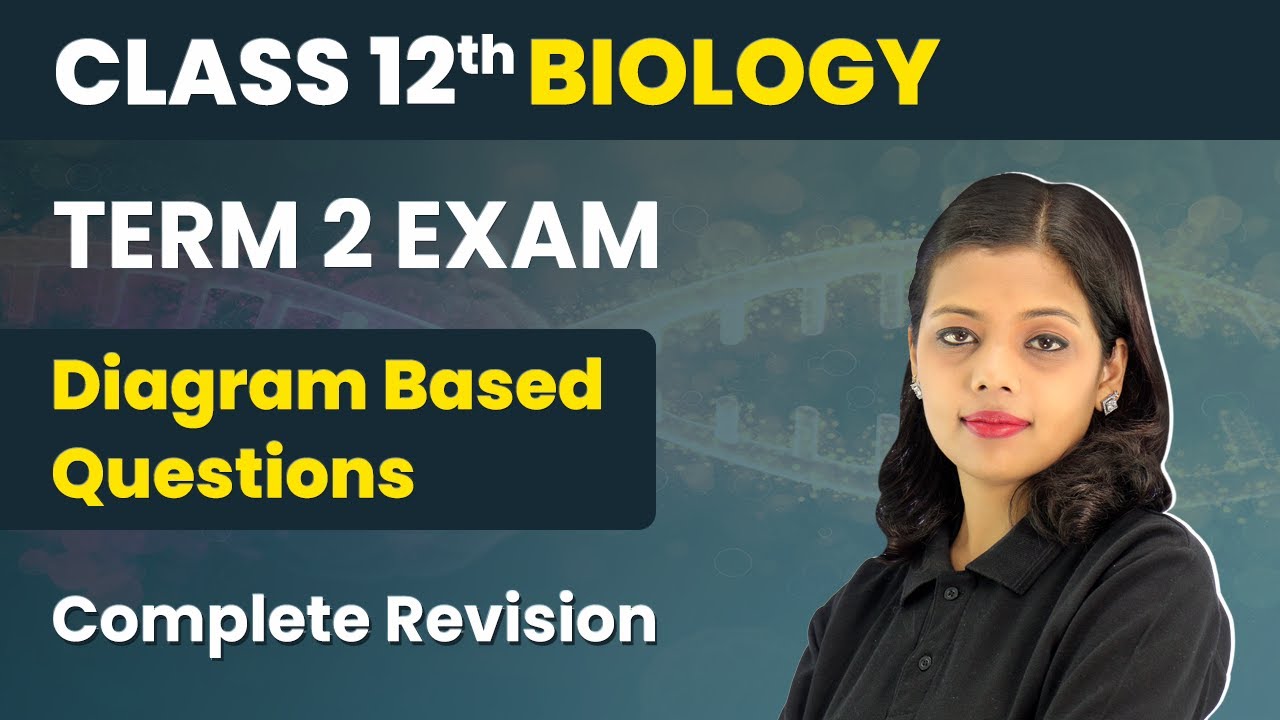 Class 12 Biology Diagram Based Questions (Chapter 8,11,12,13 &15 ...
