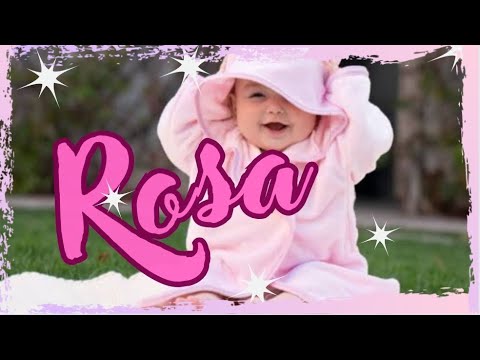 nombre de niña Rosa incluye origen, significado y sus características ...