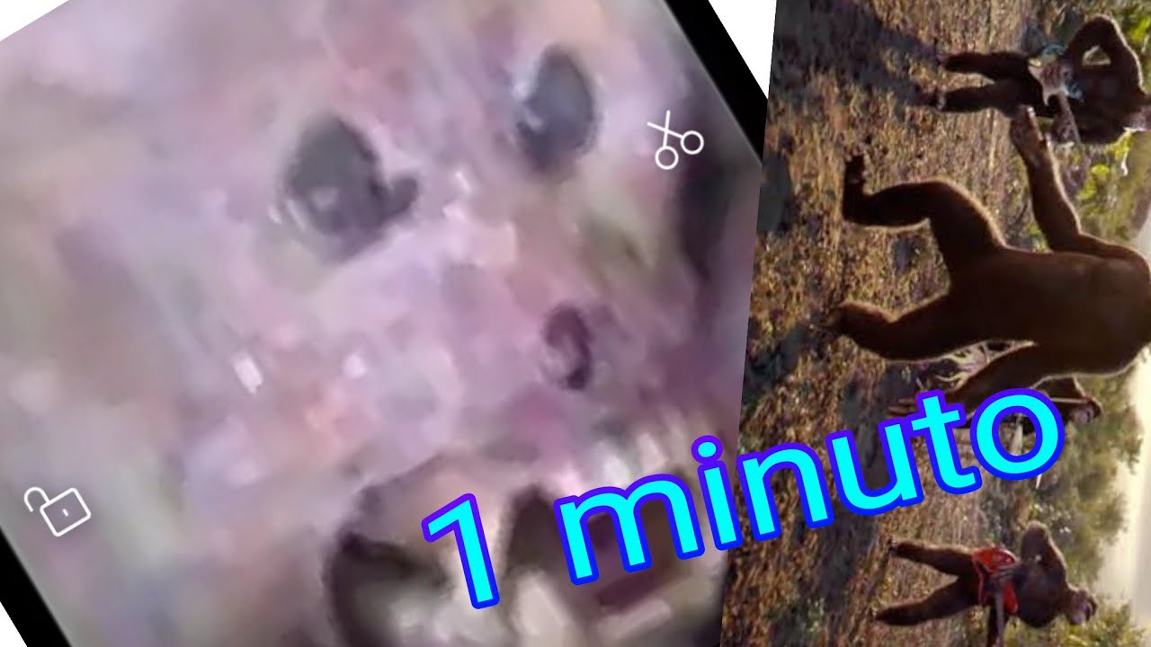 Sopa de macaco skrr 1 minuto - YouTube