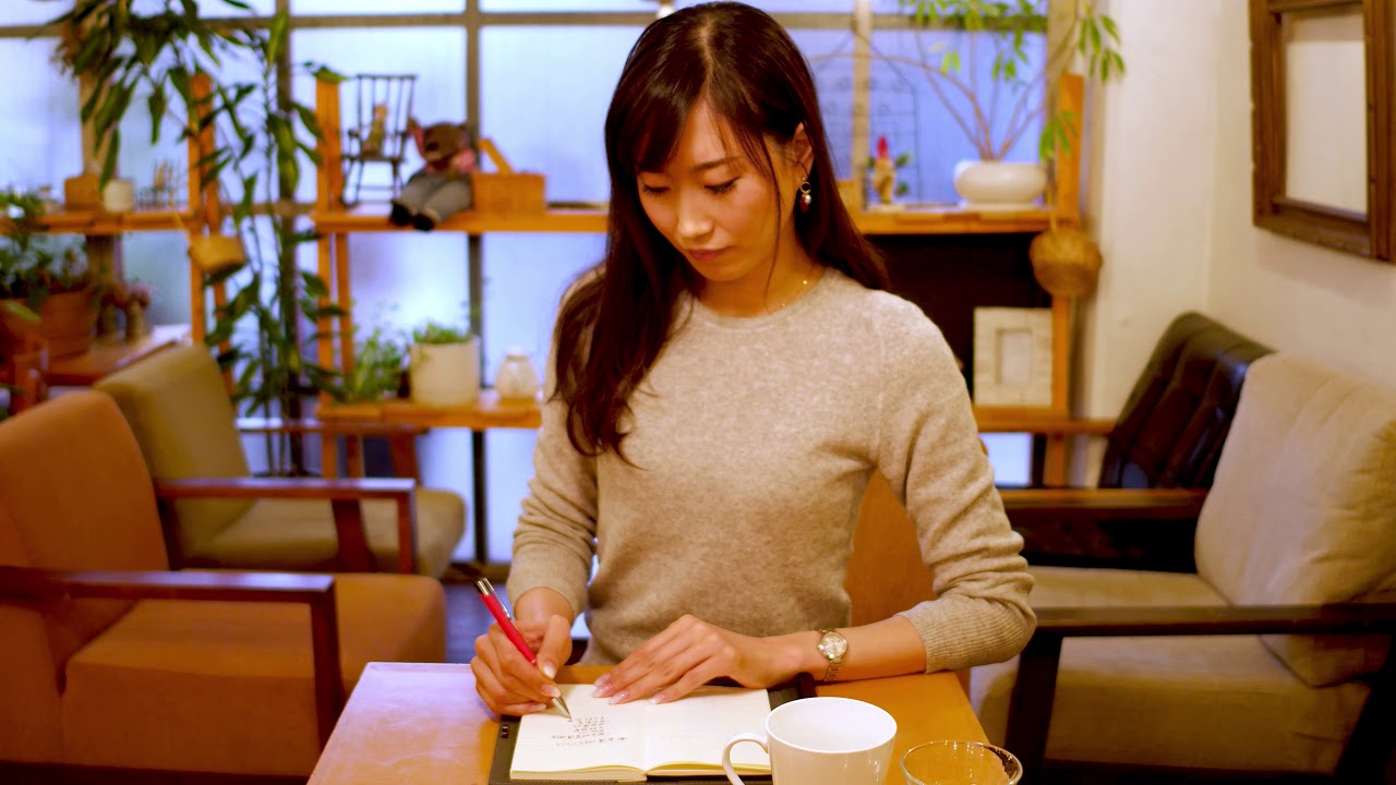 Lockbook pro - YouTube