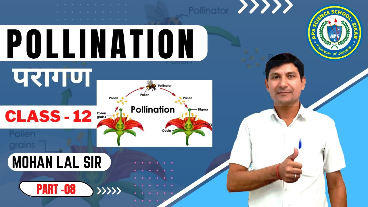 Pollination Part -08 | Class 12 Biology By Mohan Lal Ji Sir #APS ...