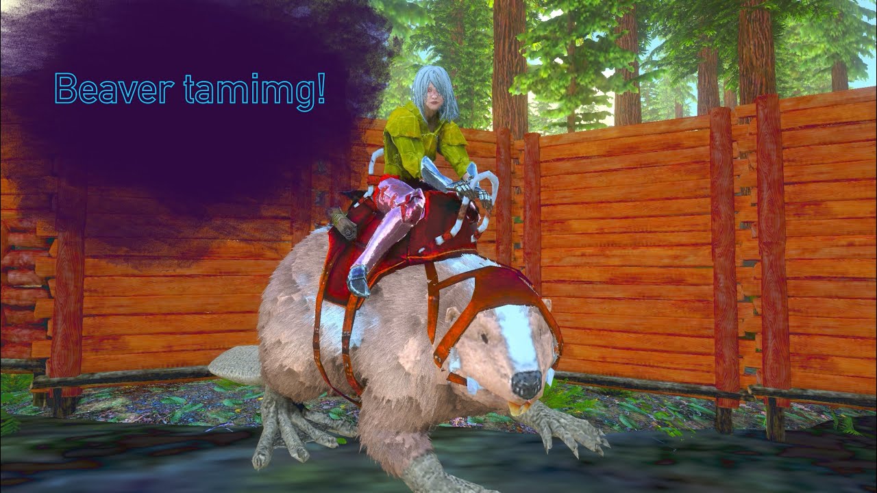 Ark mobile; Beaver taming! ( castoroides) - YouTube