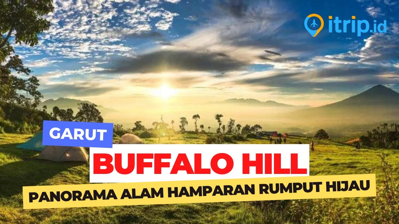 Buffalo Hill Garut: Destinasi Alam dengan Pesona Sabana Rumput Hijau ...