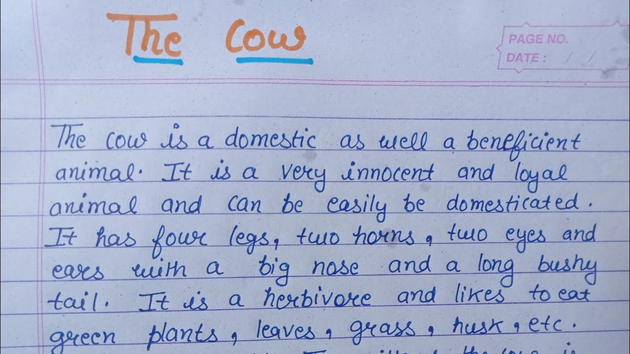 write an essay on the cow || paragraph on the cow || essay on the cow ...
